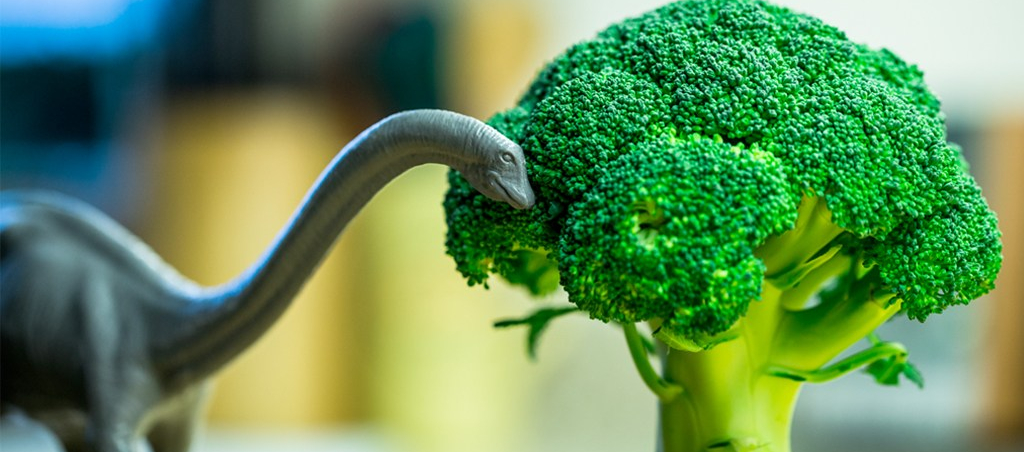 Sci-fly: Kinderen gezond verleiden in de schoolkantine